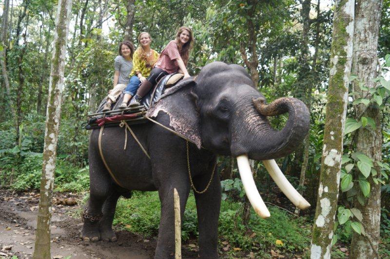 Hendrix College | International Programs