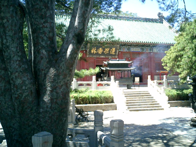 Places Students Will Visit | Hendrix College