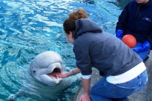 Student Research | Hendrix College