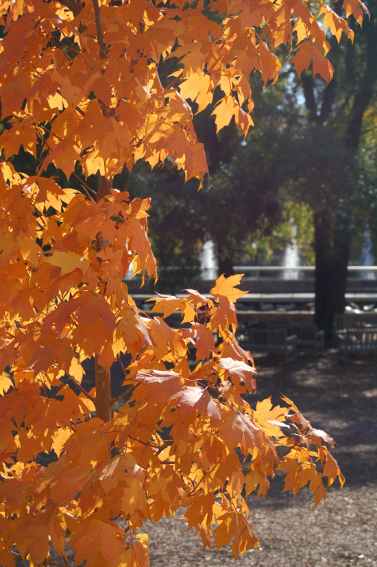 Fall 2007 | Hendrix College