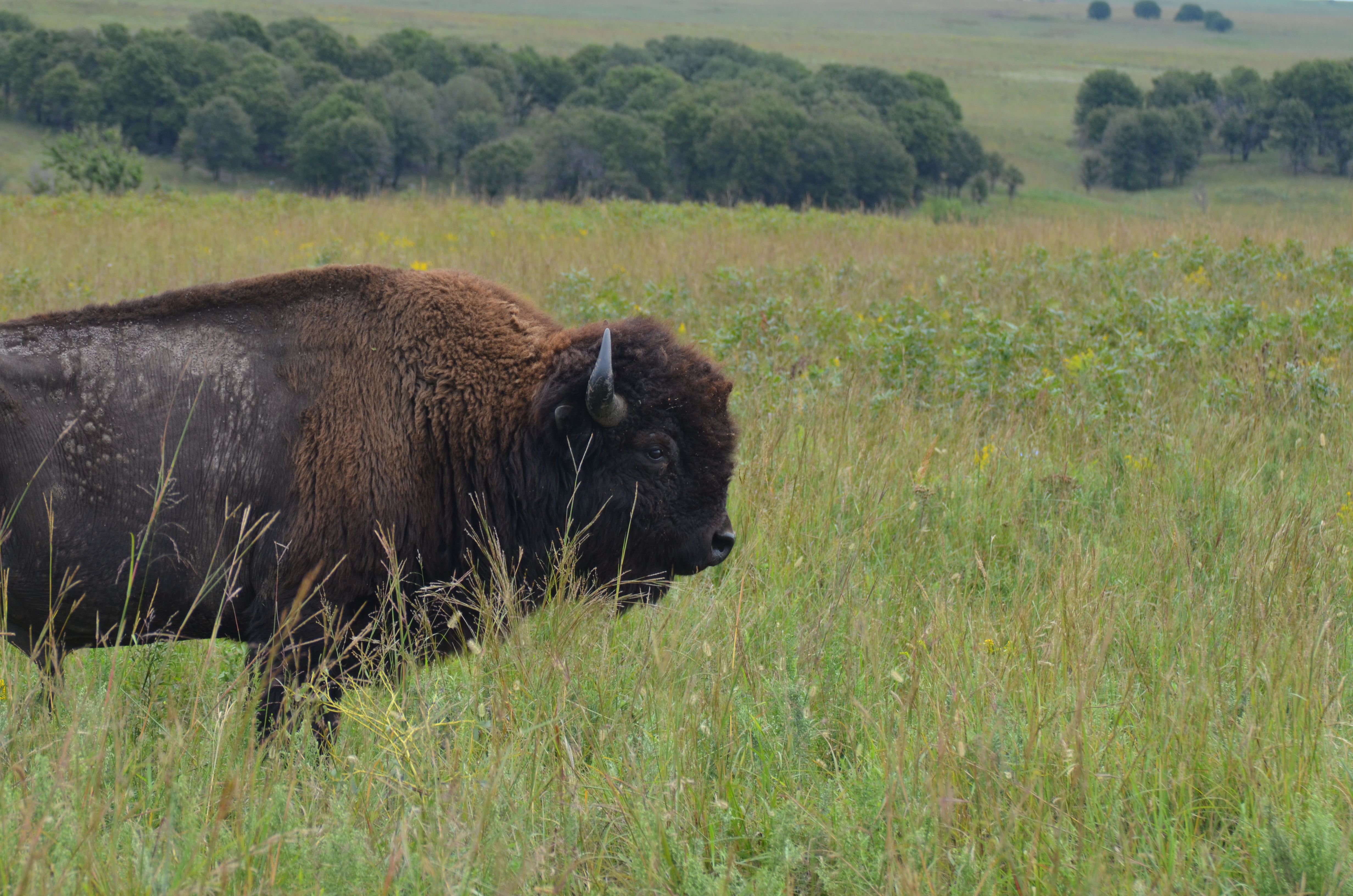 Season 2, Episode 11 - Dr. Matt Moran | Hendrix College