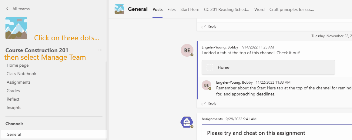 Manage team members permissions for Teams activity | Hendrix College