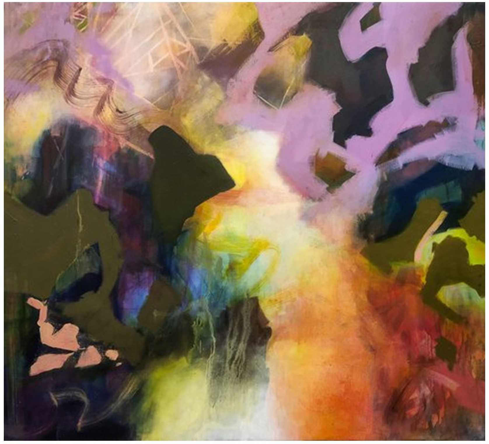 ‘Expressing Nature’s Value’ Opens in Ellis Hall at Hendrix College ...