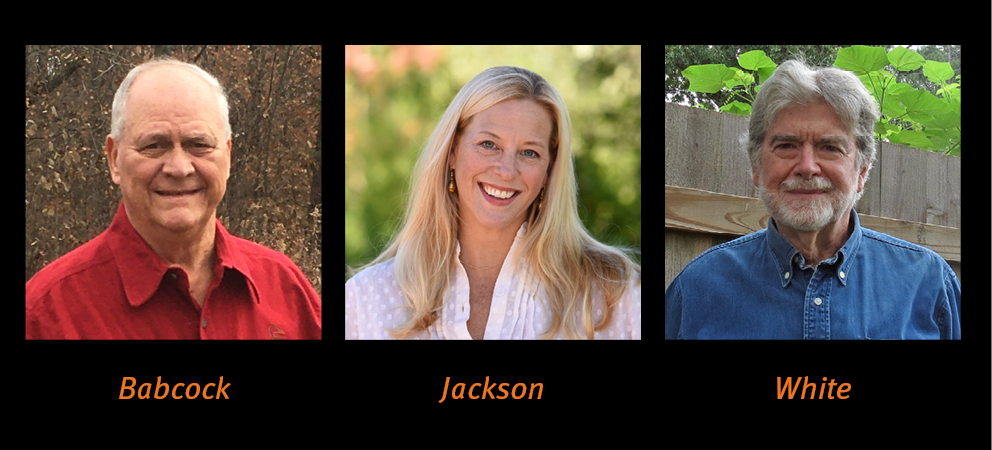 Hendrix to Award Odyssey Medals to Three Alumni | Hendrix College